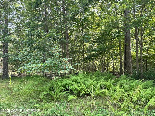 Timber Hill Rd 2B