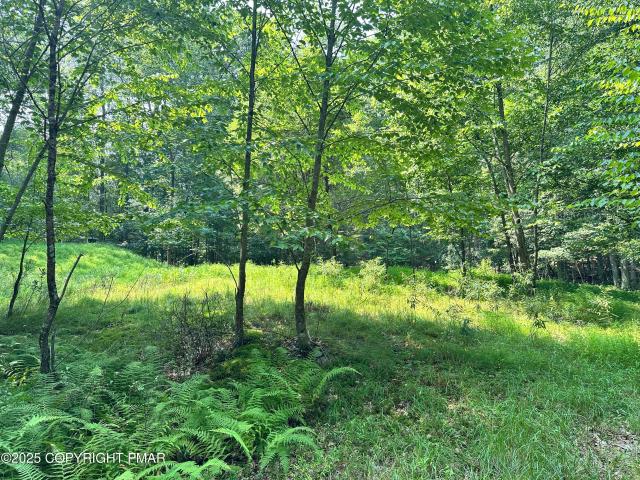 Timber Hill Rd 3C