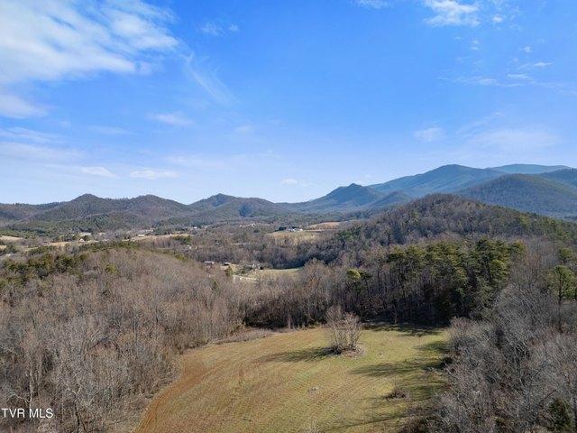 Timber Ln, Greeneville, TN 37745
