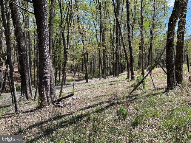 Timber Ridge