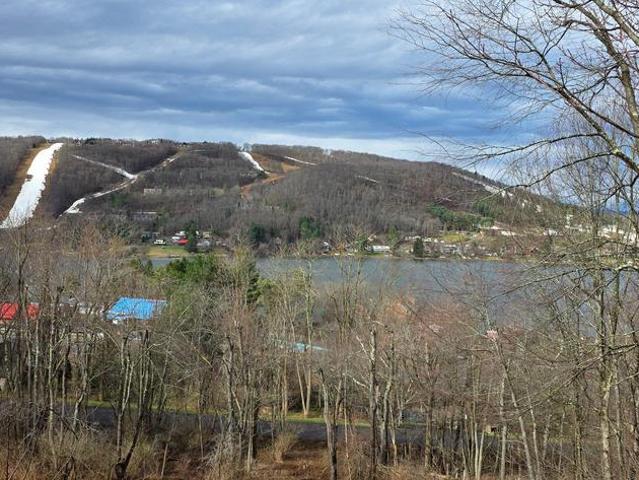 Timber Ridge Road # 10