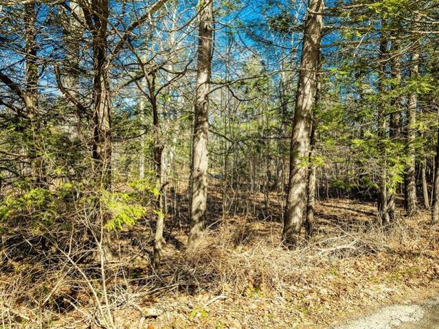Timbercliffe Drive, Camden, Plot For Sale