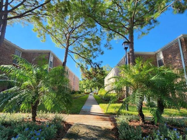 Timberfalls Apartment Homes 1 Bedroom Apartment for Rent at 2600 E 113th Ave, Tampa, FL 33612 University Square