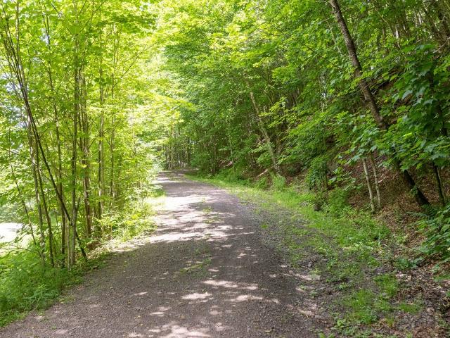 Timberland Drive