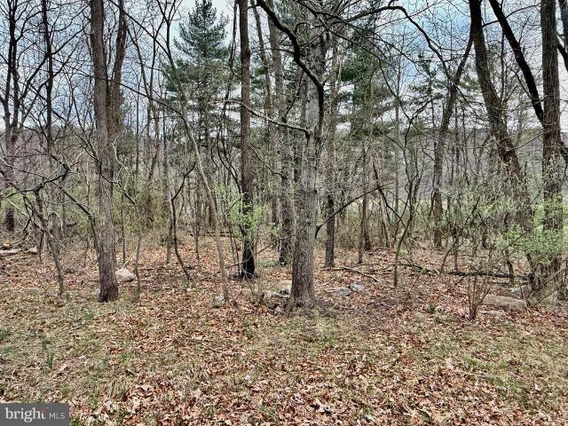 Timberlake Estates Lot 5