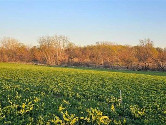 Timberline Ests Lot 49, Riverside, IA 52327