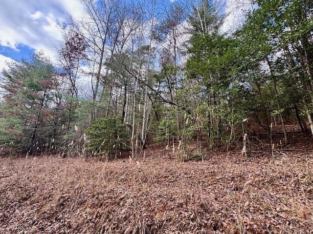 Timberline Rd Lot 9, Murphy, NC 28906