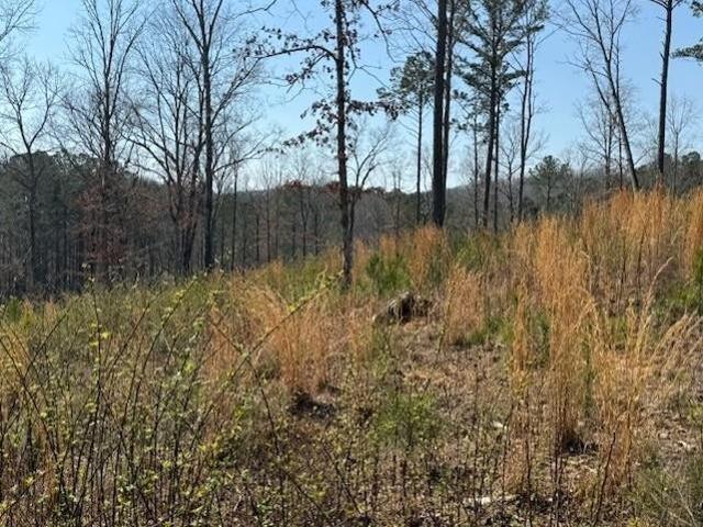 Timberline Trl, Talking Rock, GA 30175