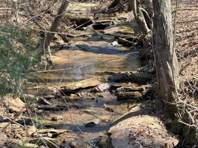 Timberline Trl, Talking Rock, GA 30175