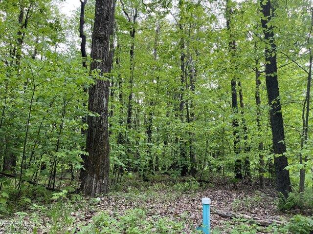 Timberman Rd Lot,claysburg, Plot For Sale