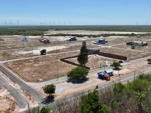 Ótimo investimento em flecheiras! Caminho das Flecheiras PRAIA DO CEARA