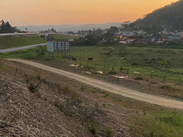 Oportunidade de 7 milhões por 4.500.000,00 a margem da br 470 em gaspar