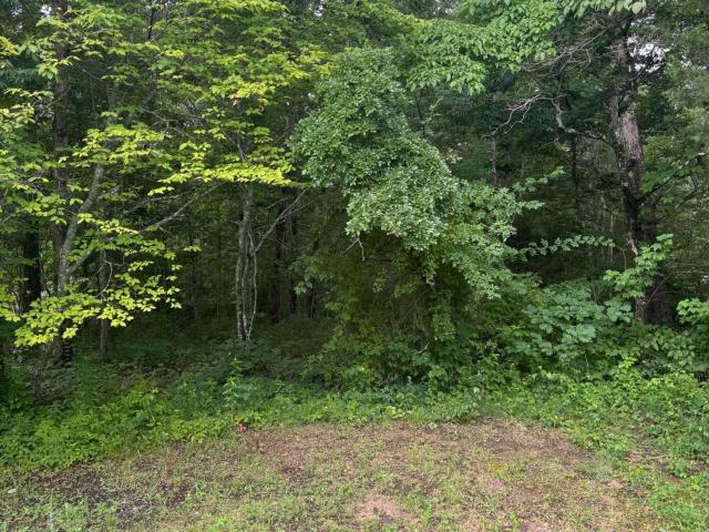 Timothy Drive, Crossville, TN 38572