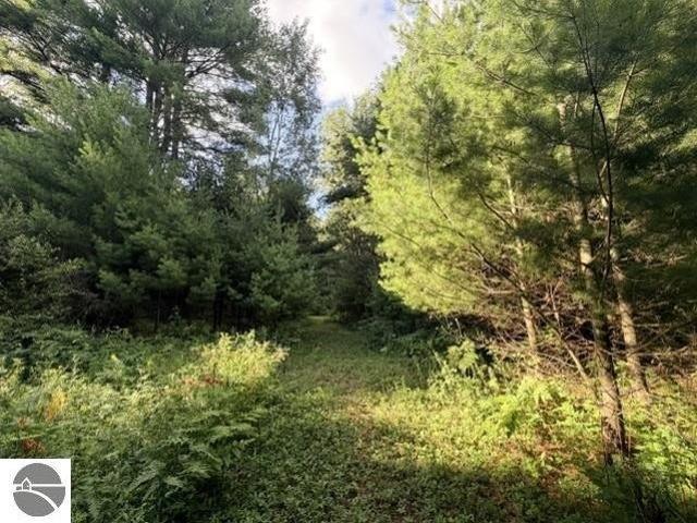 Timreck Rd Lot B, Tawas City, MI 48763