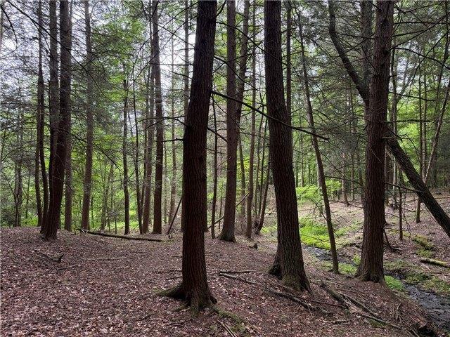 Tinkertown Rd N, Tuscarora, NY 14510