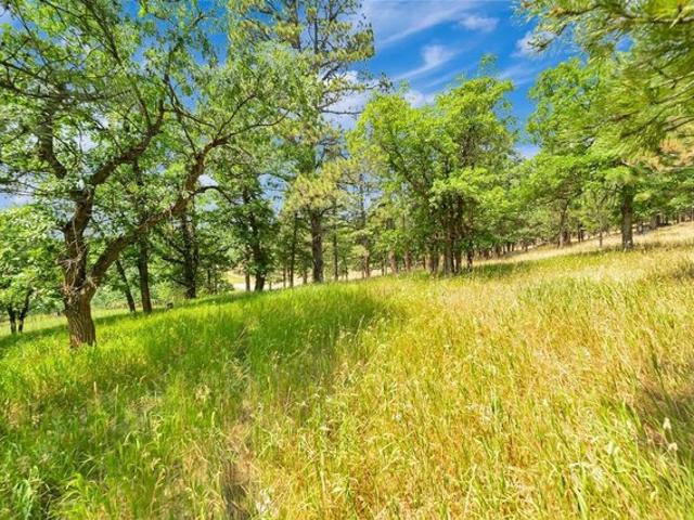 Ticklegrass Rd Lot 39, Sturgis, SD 57785