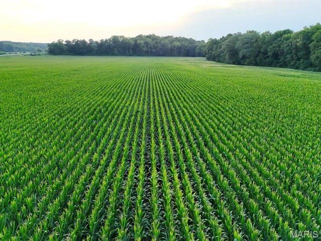 Tickridge Rd, Elsberry, MO 63343