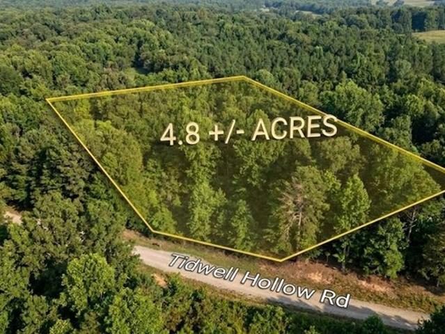 Tidwell Holw Unit Tracta, Oneonta, AL 35121