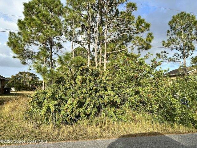 Tidewell St Se, Palm Bay, Plot For Sale