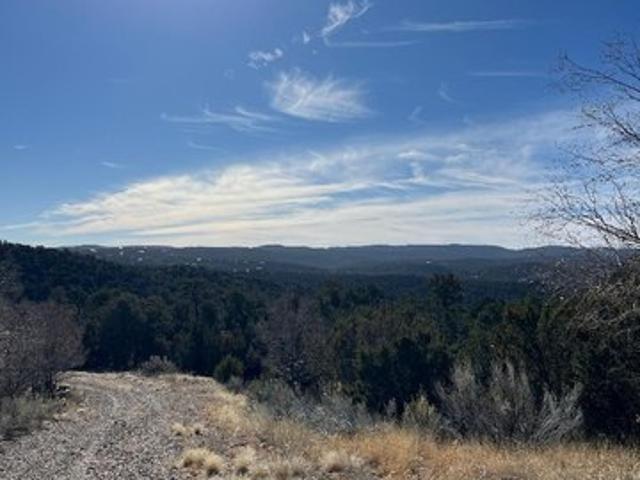 Tierra Vista Trl, Cedar Crest, NM 87008