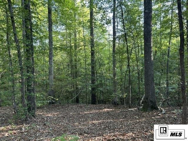 Tiger Bend Rd, Marion, LA 71260