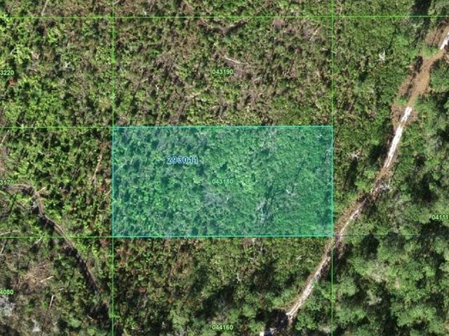 Tiger Rd, Lake Wales, FL 33898