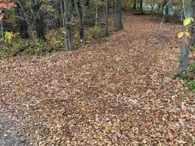 Tiger St NW Lot 3, Zimmerman, MN 55398