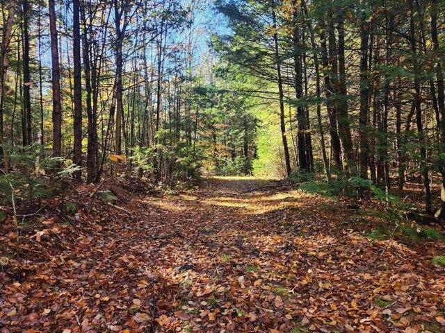 Tilton NH 03276 102444044