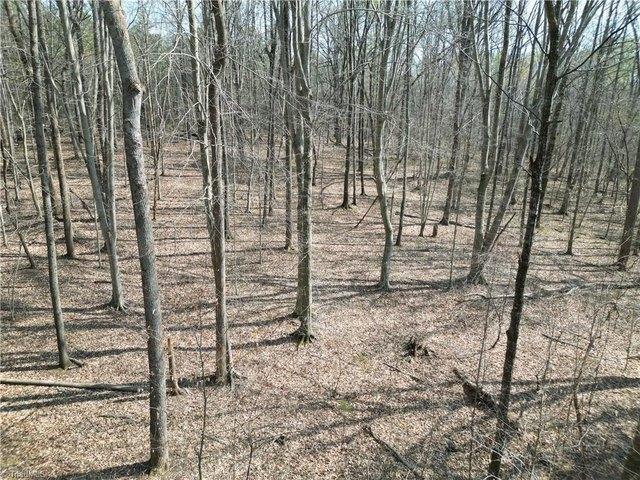 Tilden Nursery Rd, Lexington, NC 27295