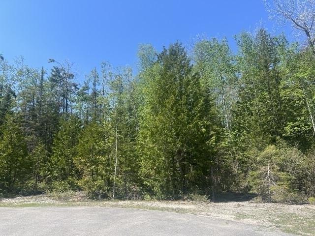 Tiptop Ct W Lot 138, Presque Isle, MI 49777