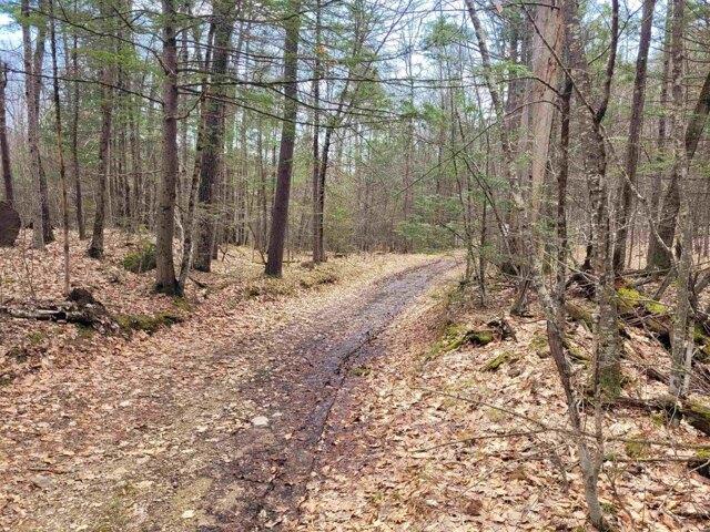 Tipping Rock Rd, Winchester, Plot For Sale