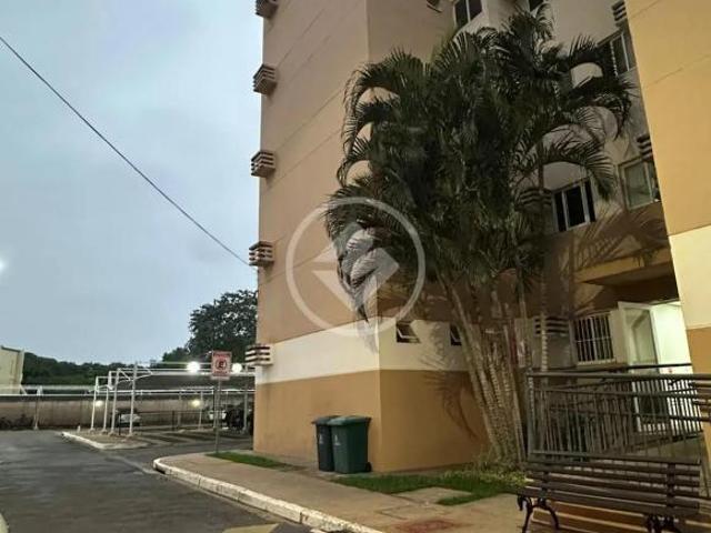 Oportunidade Única