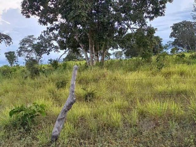 Título: Fazenda 121 Ha Beira Rio Urucuia – São Romão/MG