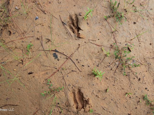 Tom Mans Road, Vaiden, MS 39176
