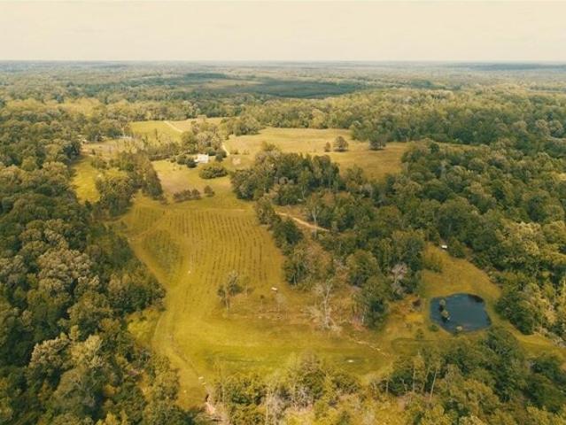 Tommy Whitaker Rd Lot,saint Francisville, Plot For Sale