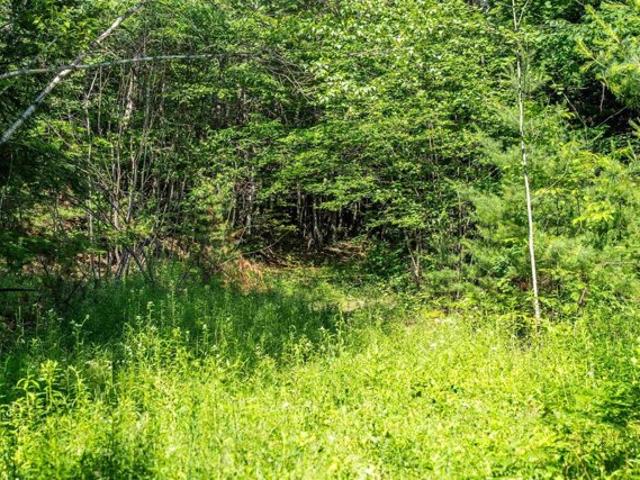 Tommy Rd Lot,moultonborough, Plot For Sale