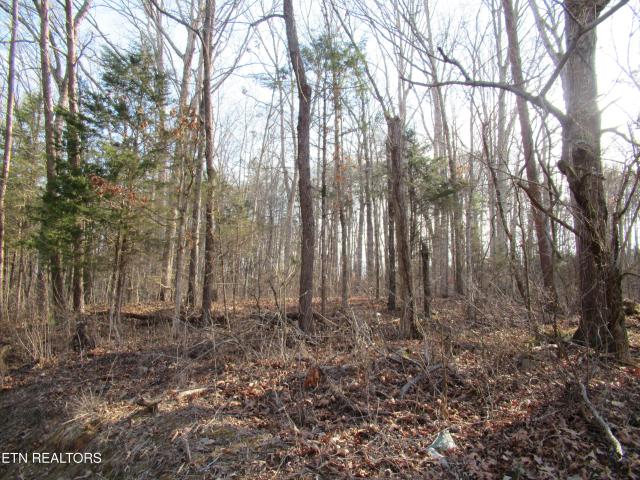 Tomotley Rd, Maryville, TN 37801