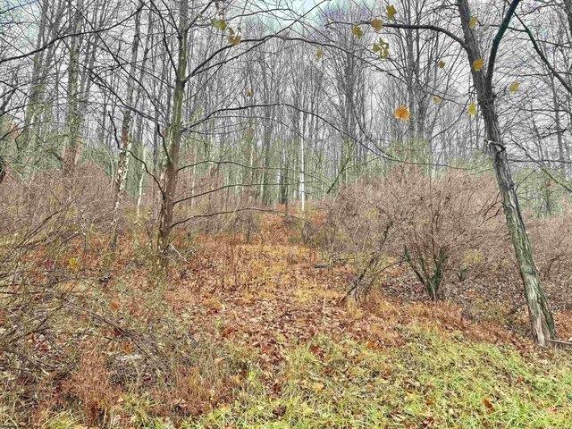 Toms Run Rd, Roanoke, WV 26447