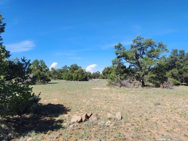 Tonto Pass, Quemado, NM 87829