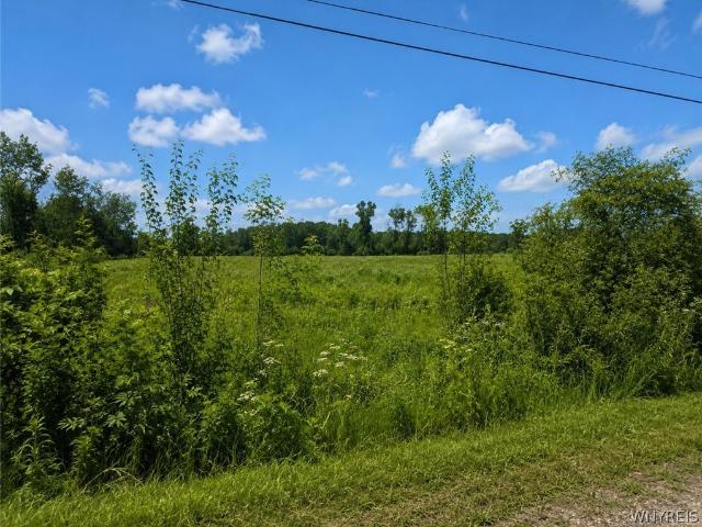 Tonawanda Creek Rd, Lockport, NY 14094 | MLS #B1697