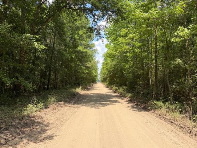 Toney Bay Rd, Holly Hill, SC 29059