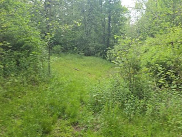 Toney Fork Rd, Scarbro, WV 25917