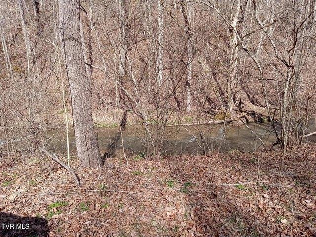 Toole Creek Rd, Abingdon, VA 24210