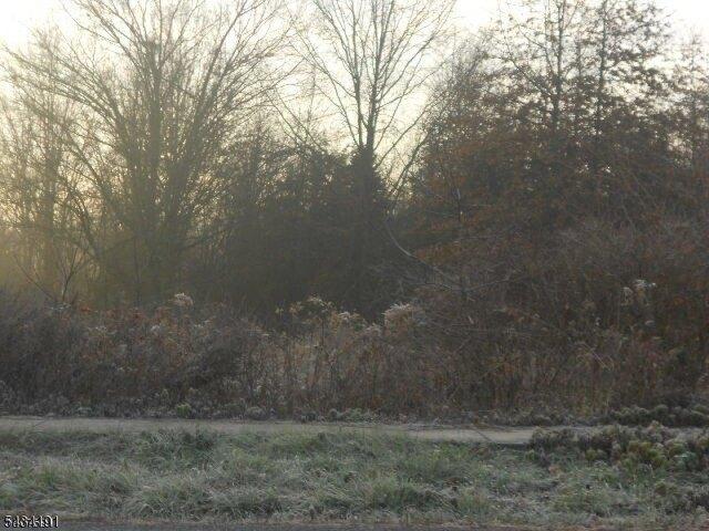 Toad Ln, East Amwell Township, Plot For Sale