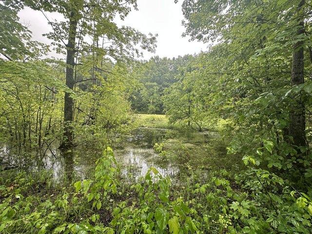 Tobias Rd Parcel 1, Elmira, MI 49730