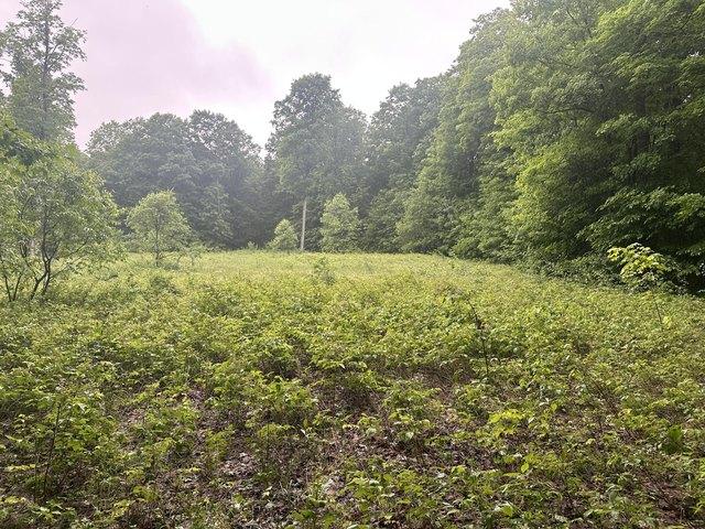 Tobias Rd Parcel 2, Elmira, MI 49730
