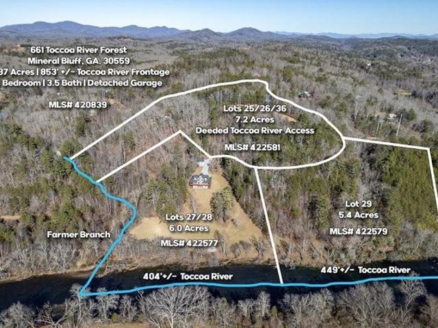 Toccoa River Frst Lot 29, Mineral Bluff, GA 30559