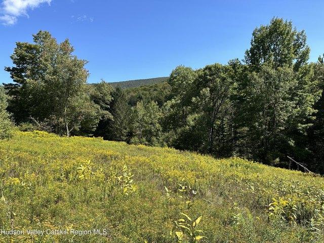 Todd Mountain Rd, Arkville, NY 12406