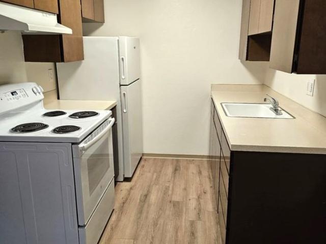 Todd House Michelle Apartments 1 Bedroom Apartment for Rent at 408 N M St, Tacoma, WA 98403 North End