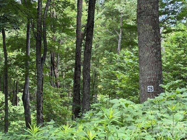 Toi Trl Lot 28, Maggie Valley, NC 28751